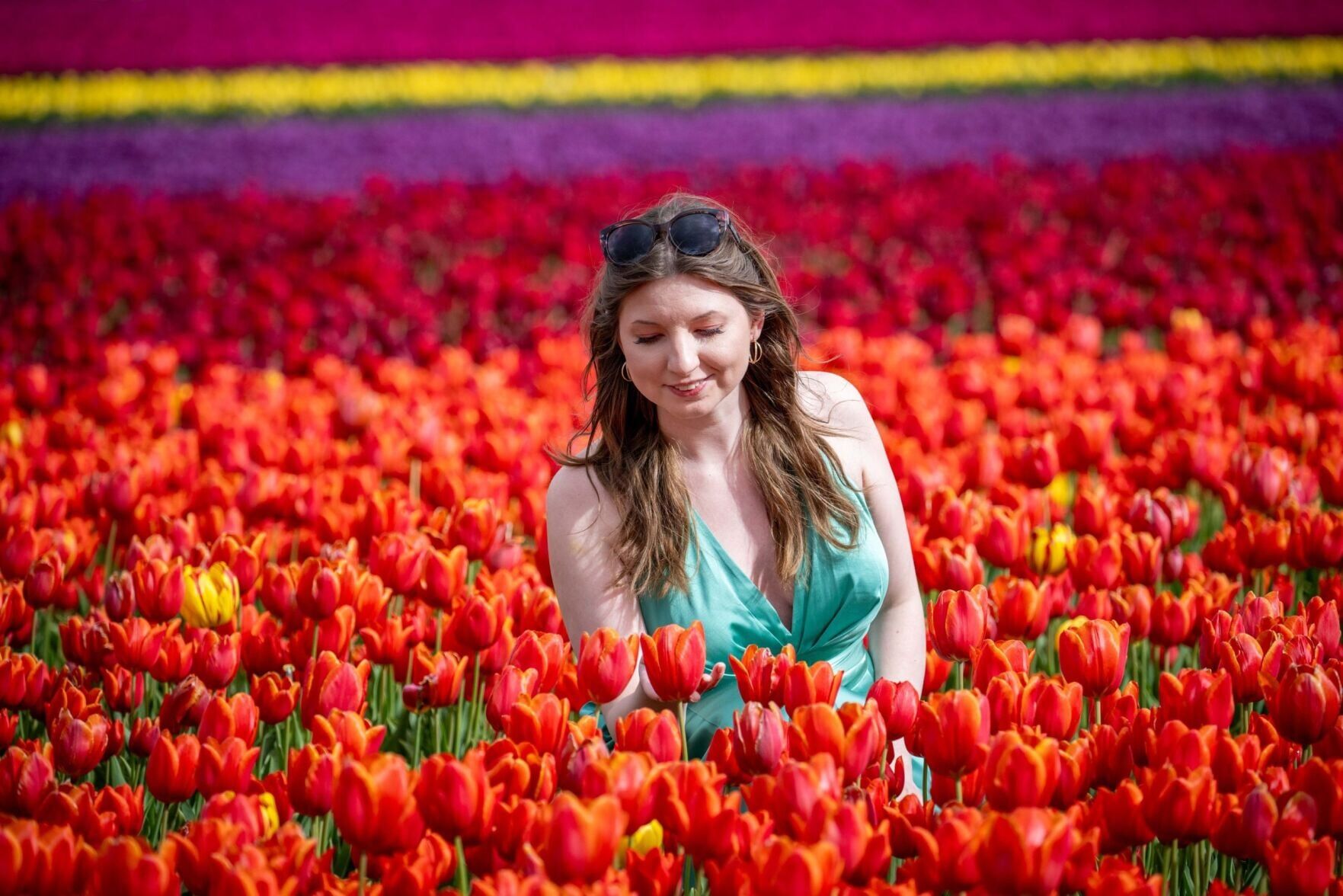 Nine million colorful tulips in full bloom | Around The Web ...