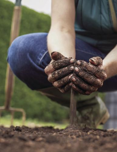 How to prepare soil for spring planting | Home Improvement ...