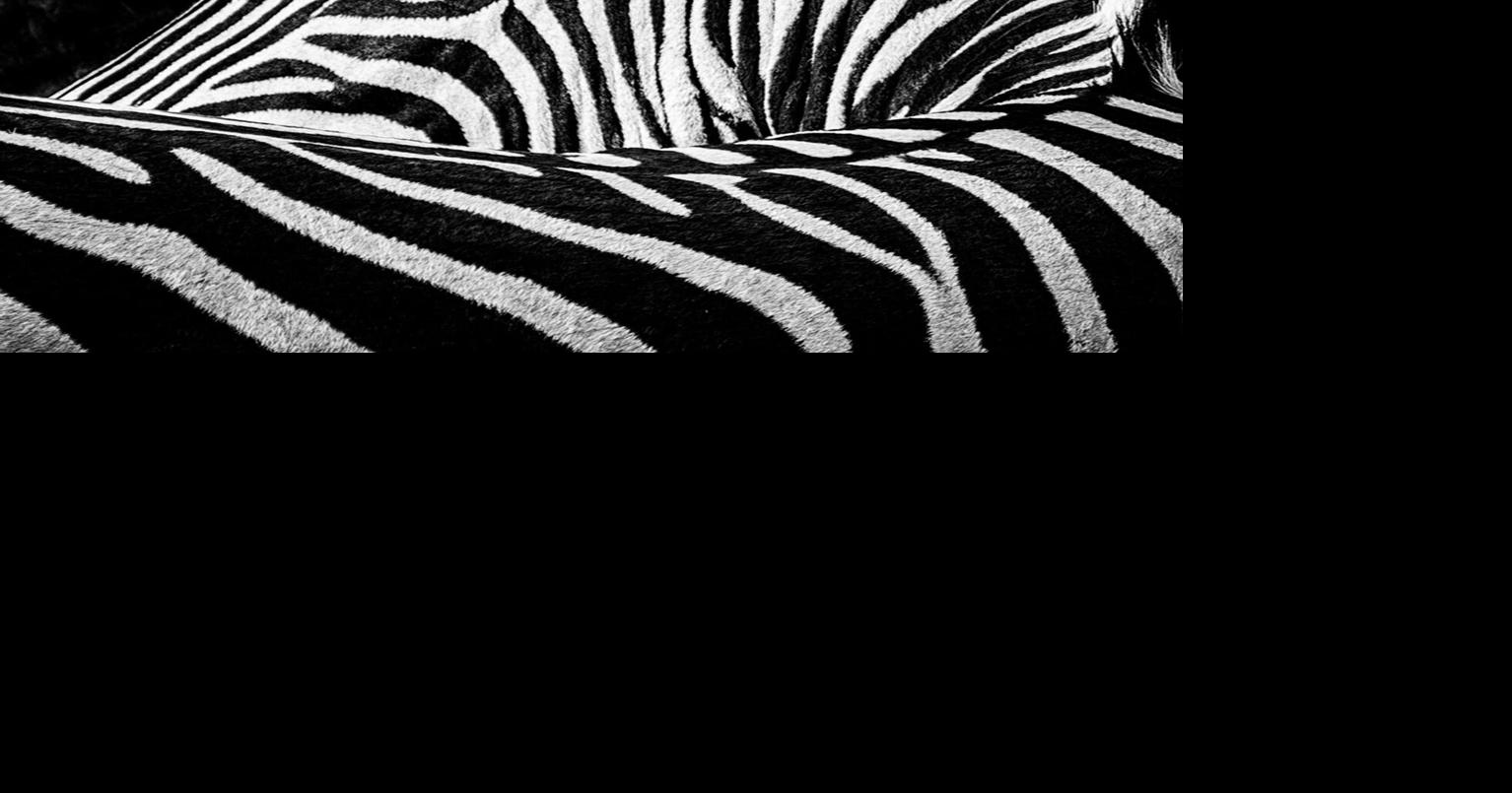 The wondrous world of Joe Sack's photography | Lake Style ...