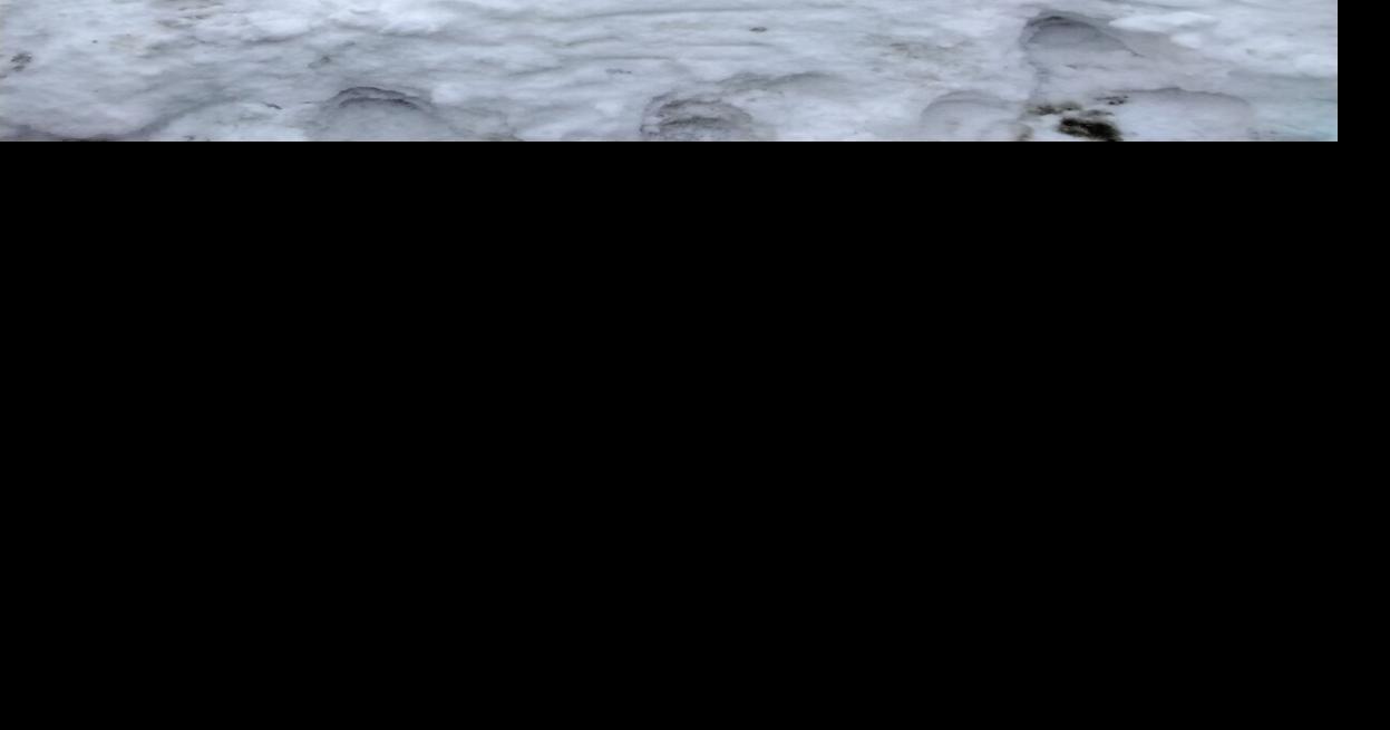 Reader Pics: Jan. 13 | Multimedia | laconiadailysun.com