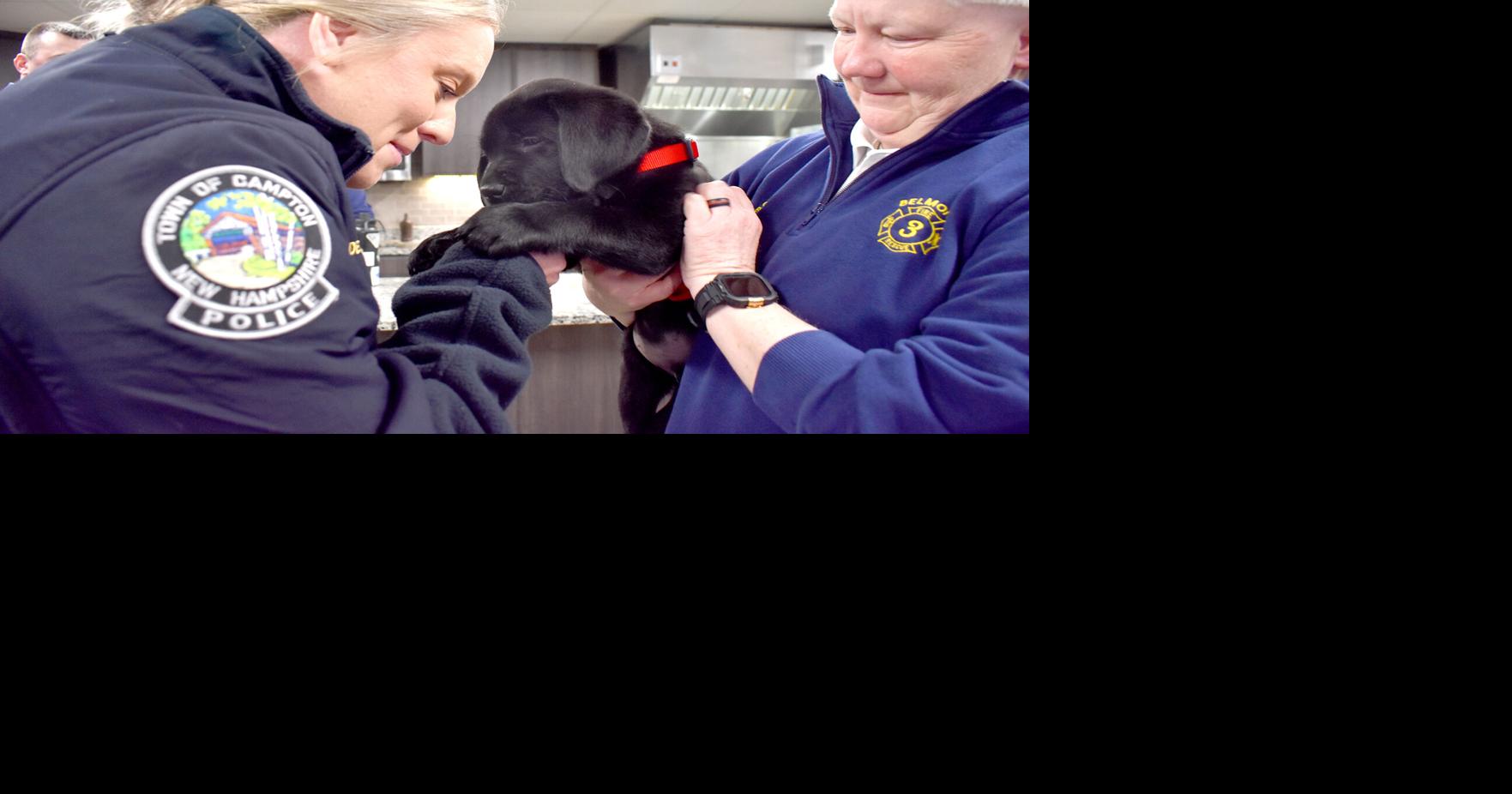Meet Riggs, Belmont's newest furry firefighter | Local News ...