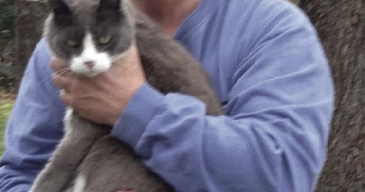 Patrick J. Clark, 76 | Obituaries | laconiadailysun.com