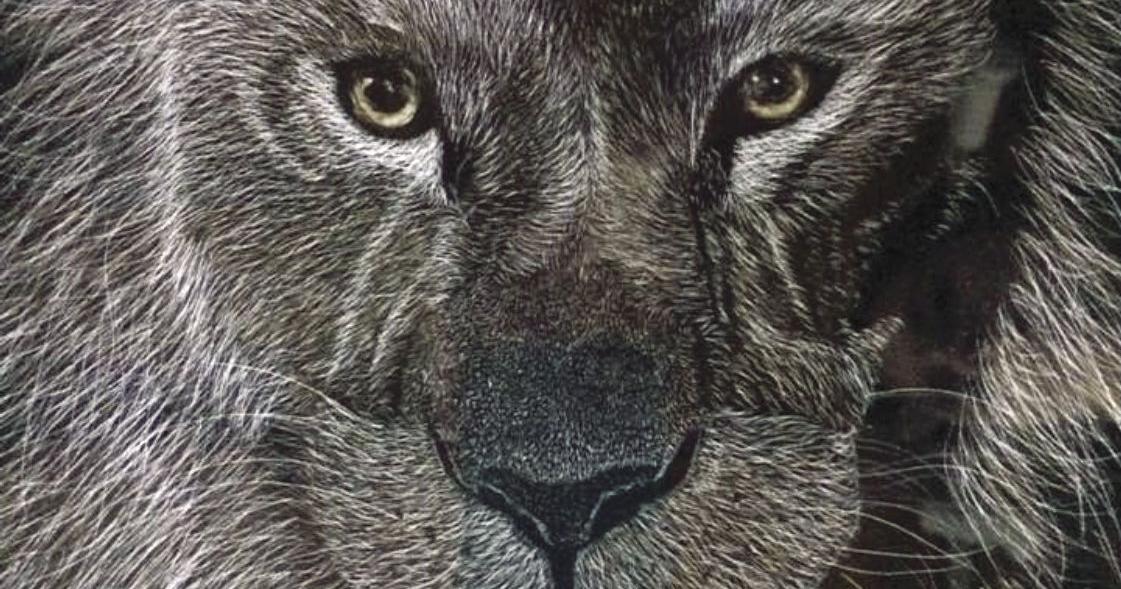 Artist reception for Hunter Allain at Belknap Mill | Lake Style ...