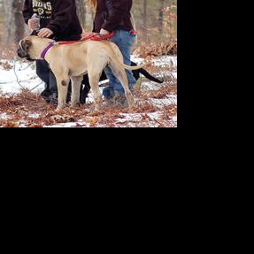 Alert Meredith police officer helps fend off fire | Local News ...