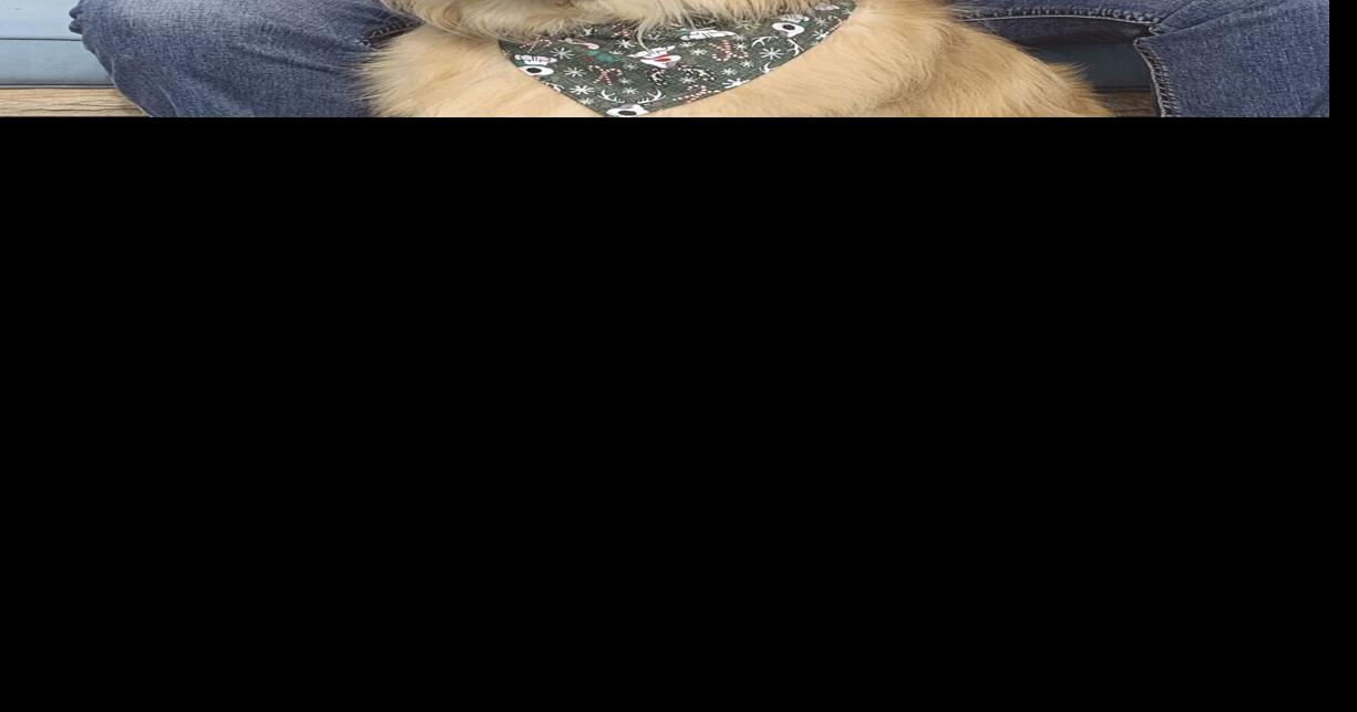 Anthony J. Fay, 57 | Obituaries | laconiadailysun.com