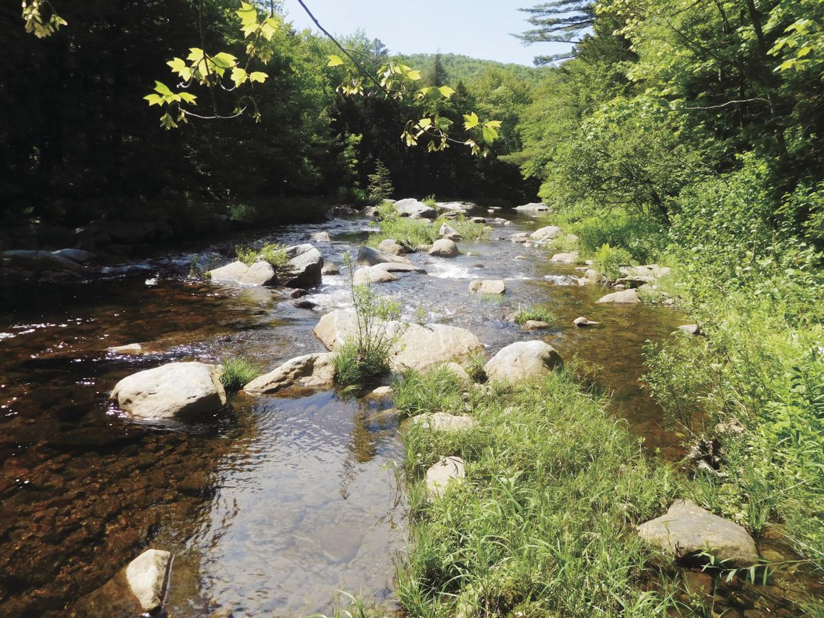 Following the Beebe River | Outdoors | laconiadailysun.com
