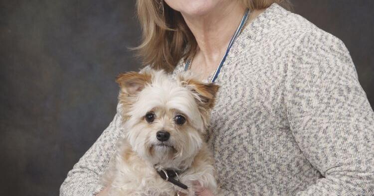 Sandra Percy, 74 | Obituaries | laconiadailysun.com