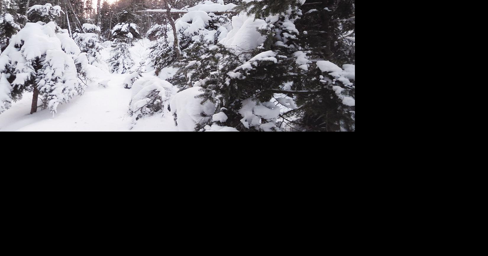 Jobildunk Ravine: A walk into pristine beauty | Outdoors ...