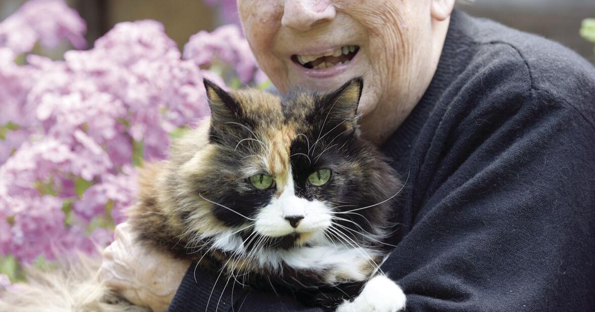 Jean A. Boudreau, 89 | Obituaries | laconiadailysun.com