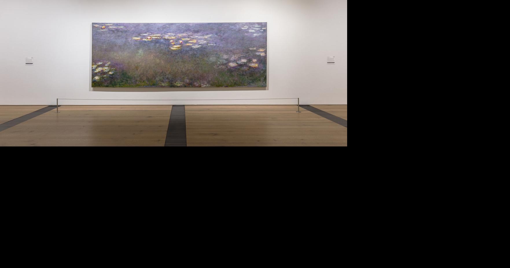 The Saint Louis Art Museum Introduces An Abstract Look at the Natural World