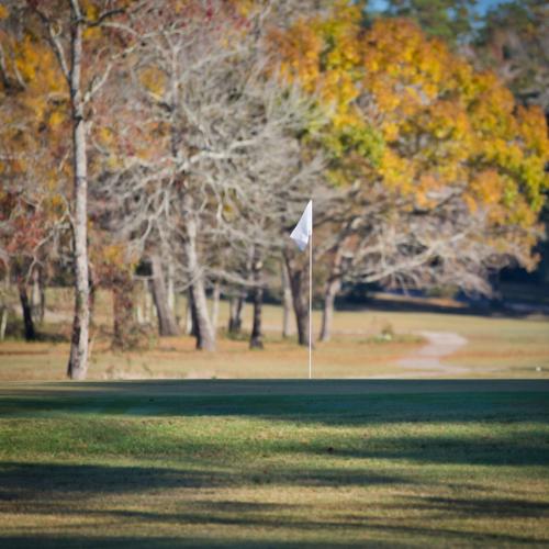 St. Joseph Academy celebrates state golf tournament win
