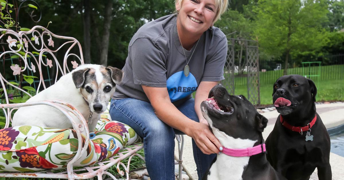 Happily Ever After: Weeble and the Streiff Family