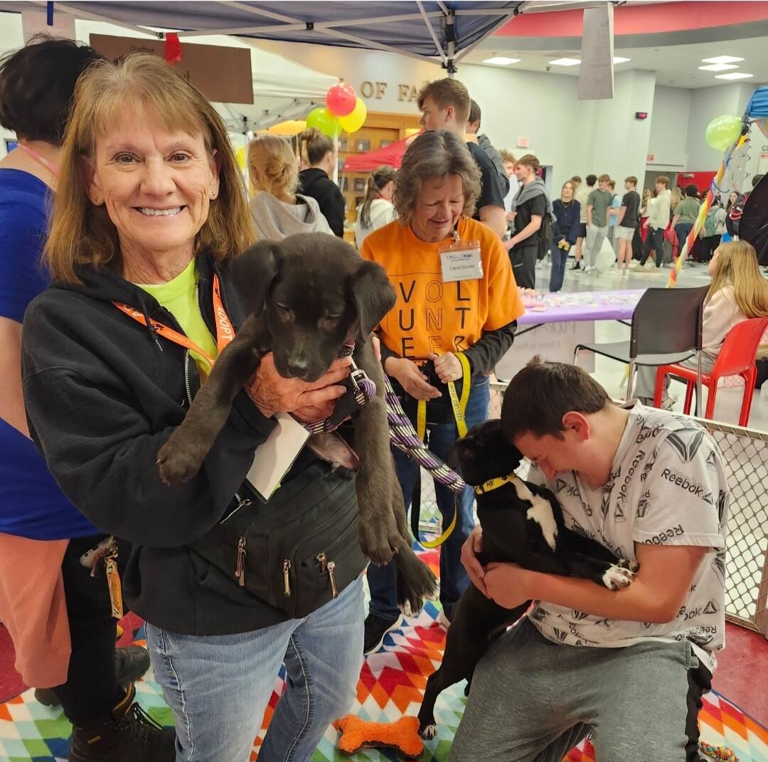 Largest no-kill animal shelter in St. Louis area turns 50