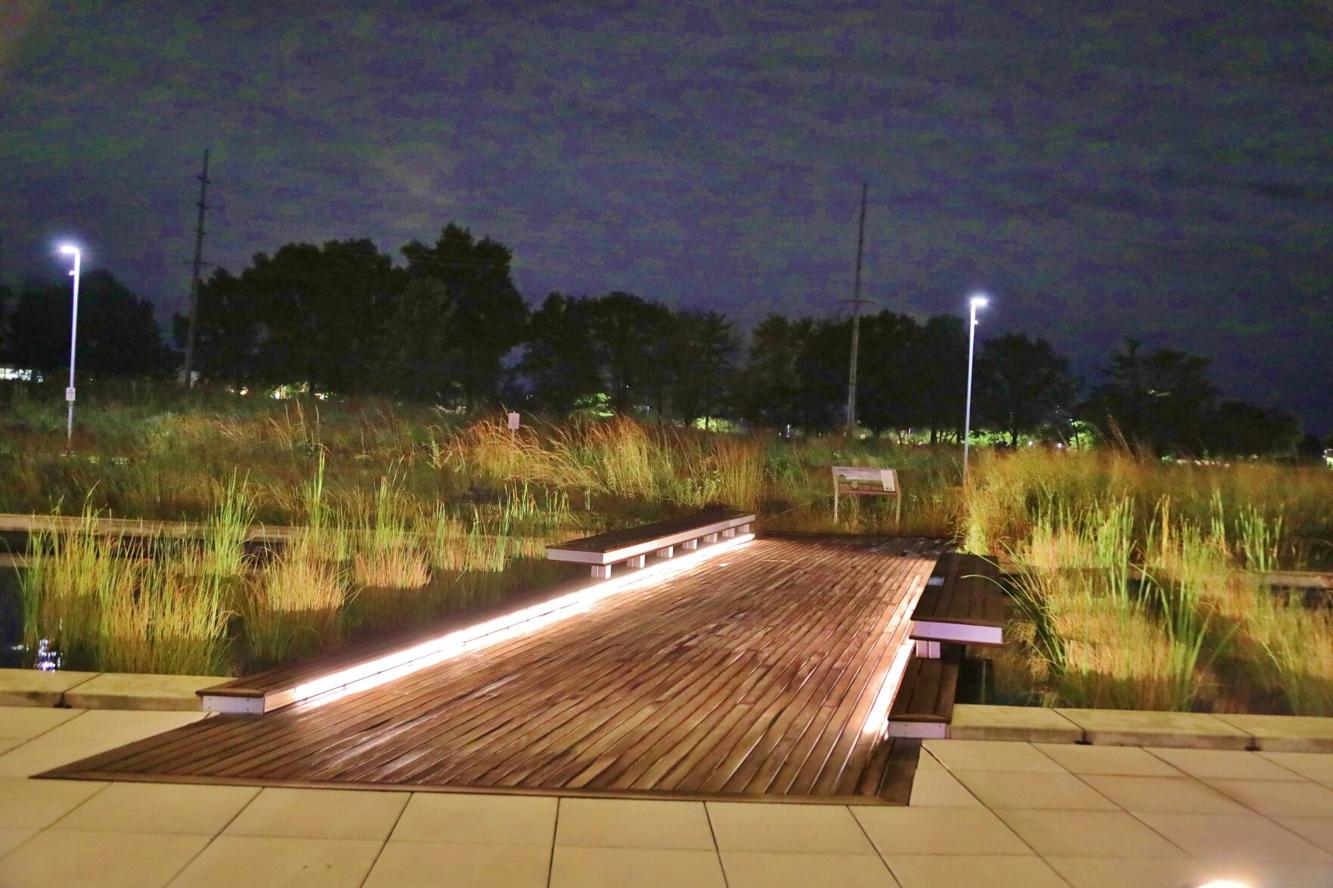 Young Friends' Party with the Plants at the Danforth Center