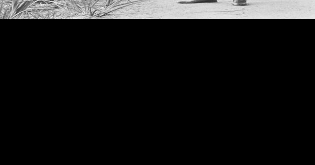 Saint Louis Art Museum: Monet