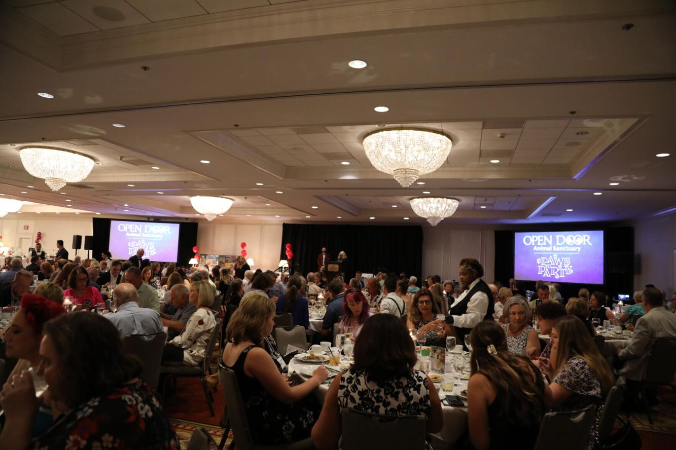 Open Door Animal Sanctuary's Paws to Party gala