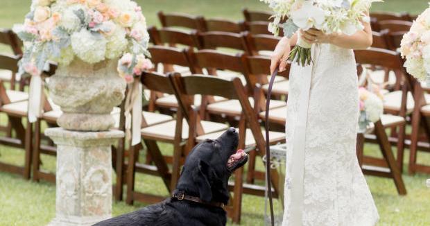 Introducing the Newlyweds: Allison Weld Harding and Brian Kenneth ...