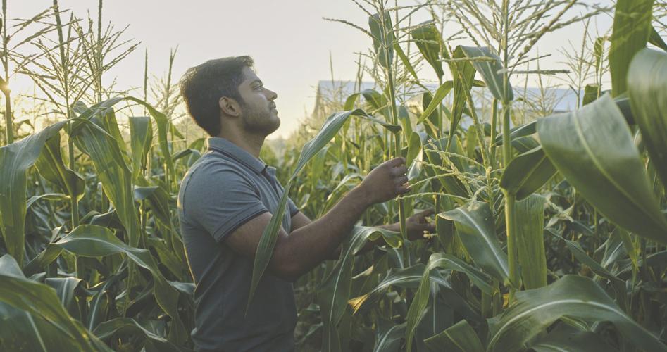 The Donald Danforth Plant Science Center is Creating a Brighter ...