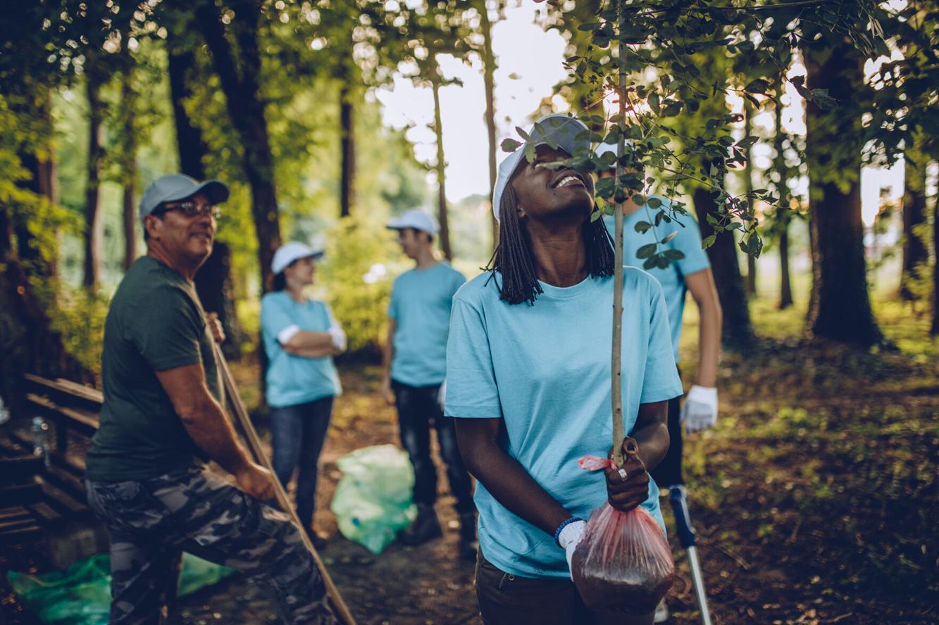 4 ways to improve your local environment