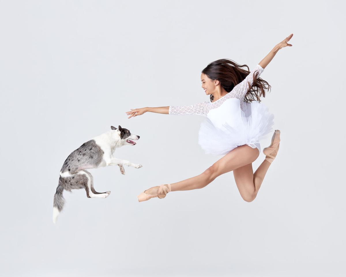 St. Louis-Based Dancers & Dogs Goes Viral With Images of Adoptable Pets