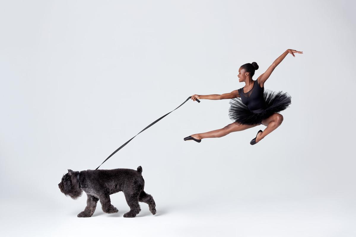 St. Louis-Based Dancers & Dogs Goes Viral With Images of Adoptable Pets
