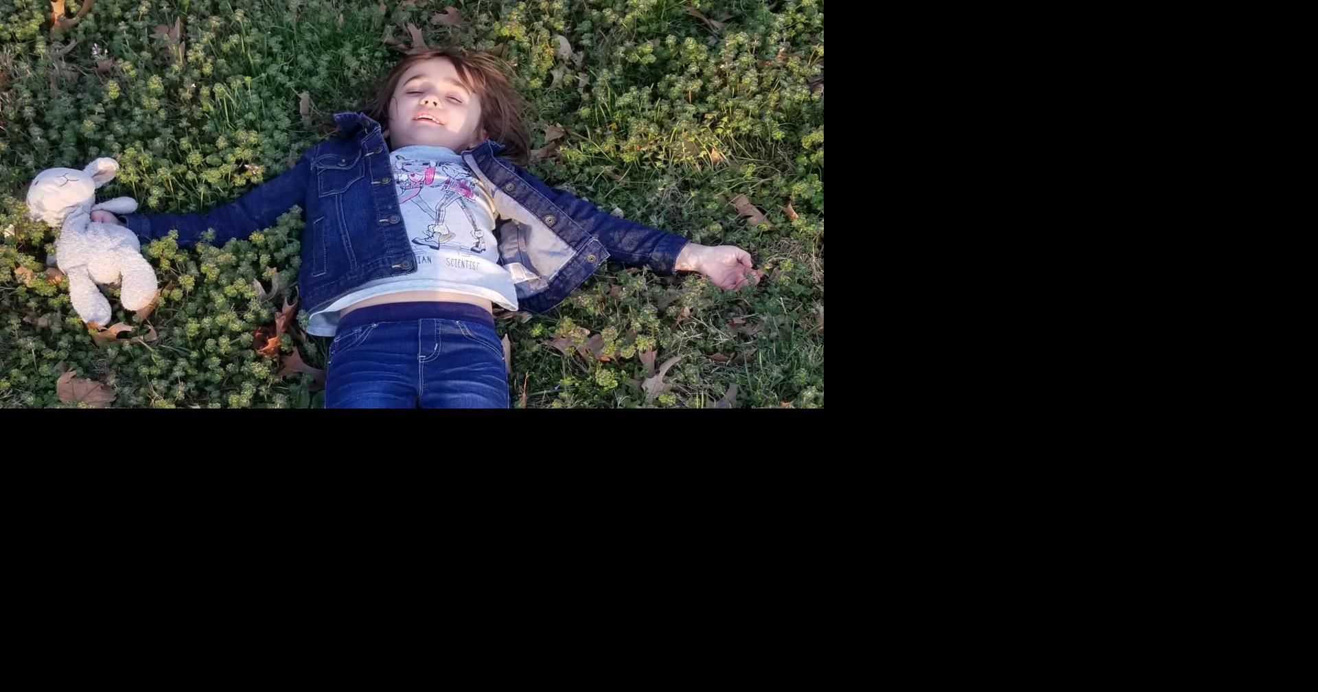 The return of Lambie: Meet the stuffed animal who went on a wild ...