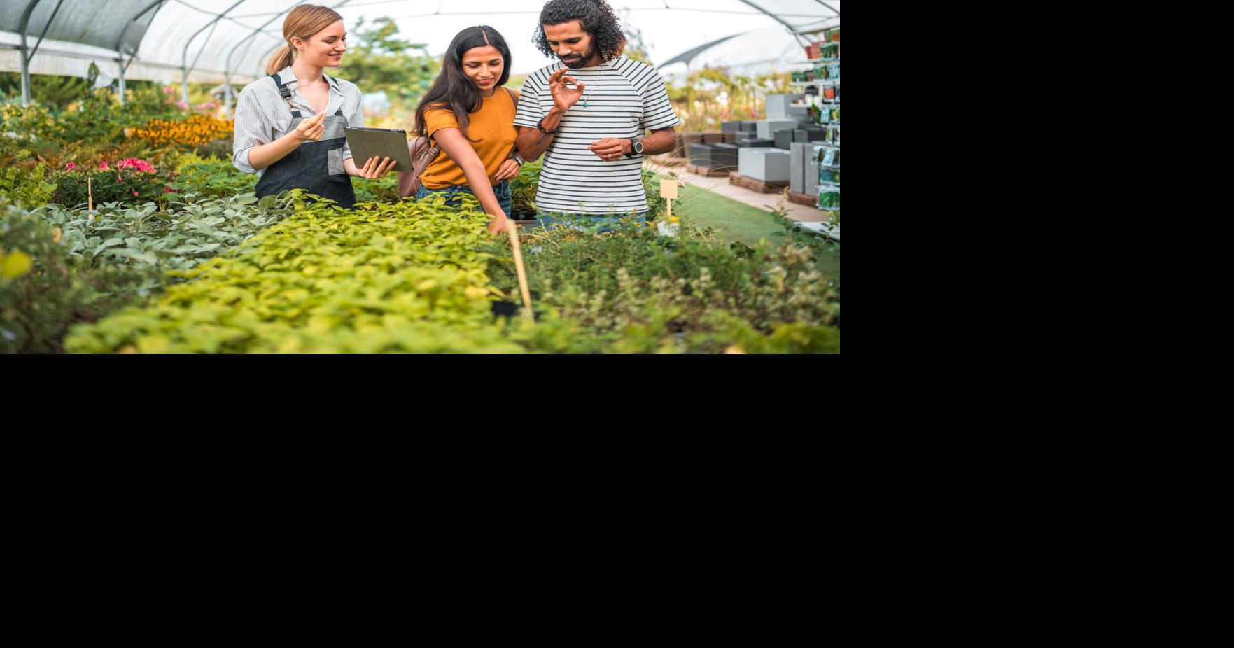 How to avoid impulse plant purchases for mid-season planting