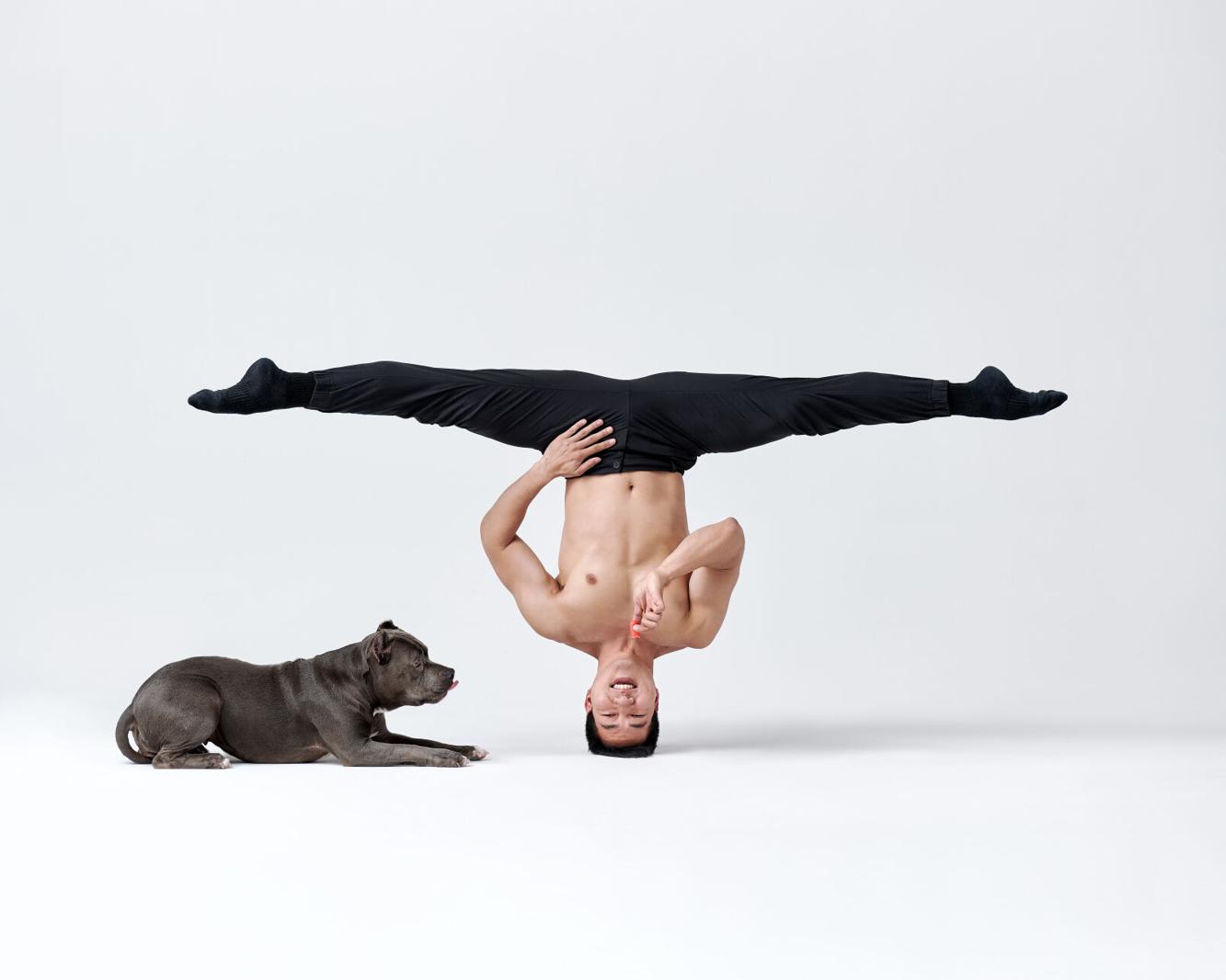 St. Louis-Based Dancers & Dogs Goes Viral With Images of Adoptable Pets