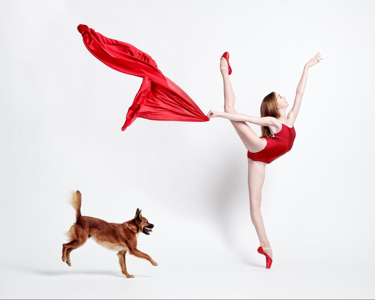 St. Louis-Based Dancers & Dogs Goes Viral With Images of Adoptable Pets