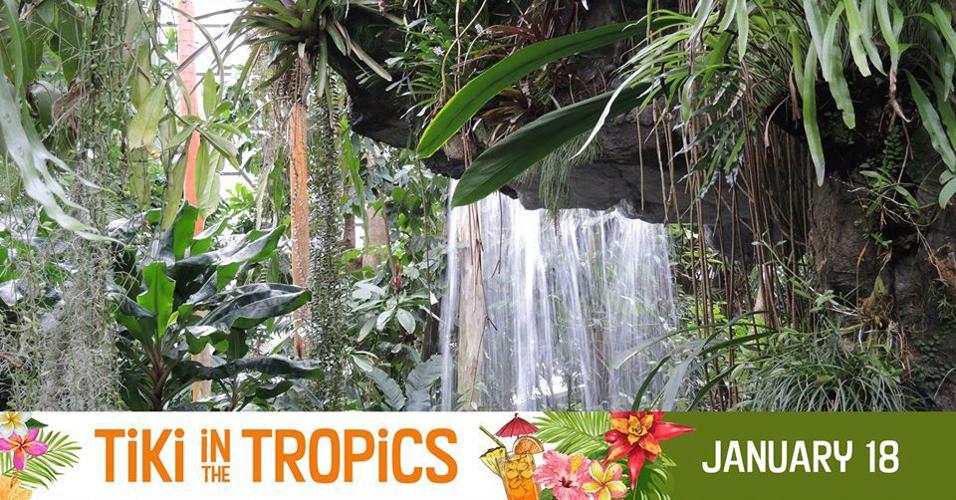 Things to Do in the Area: Jan. 13 to 19