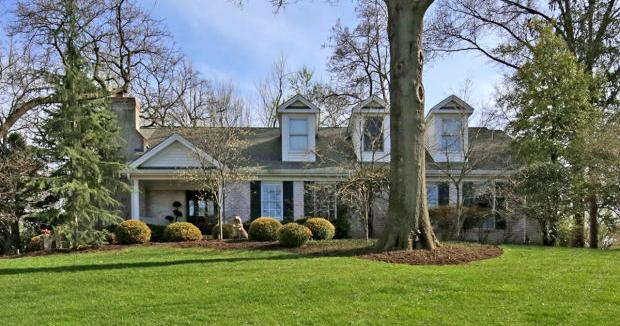 3 Andre Drive