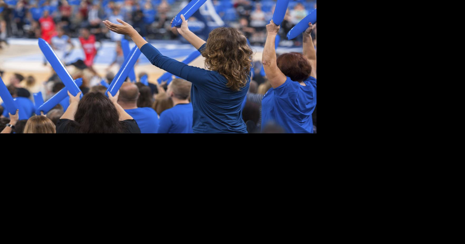 Spectators cheering in stadium