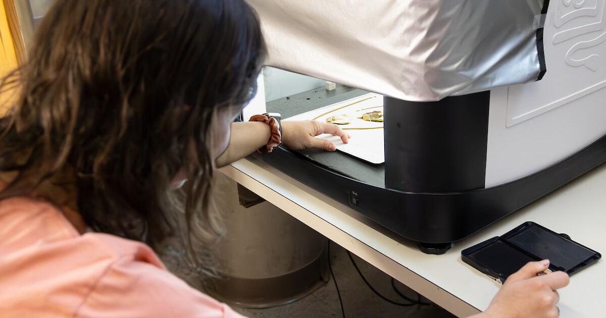 How Missouri Botanical Garden’s AI Grant Will Change Botany