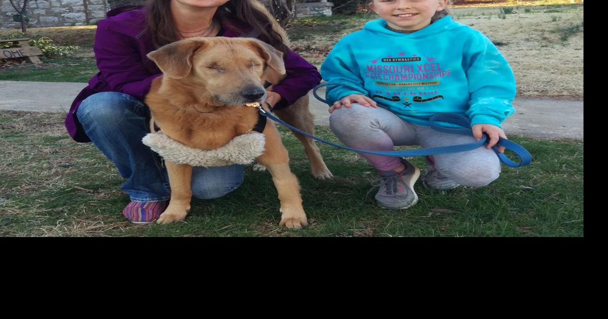 Happily Ever After: Whippet and the Carmean Family