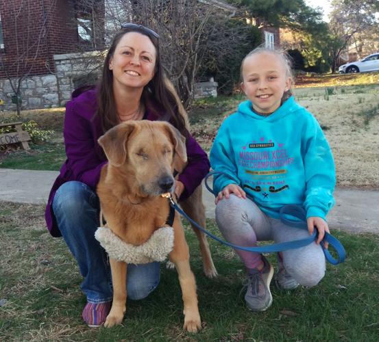 Happily Ever After: Whippet and the Carmean Family