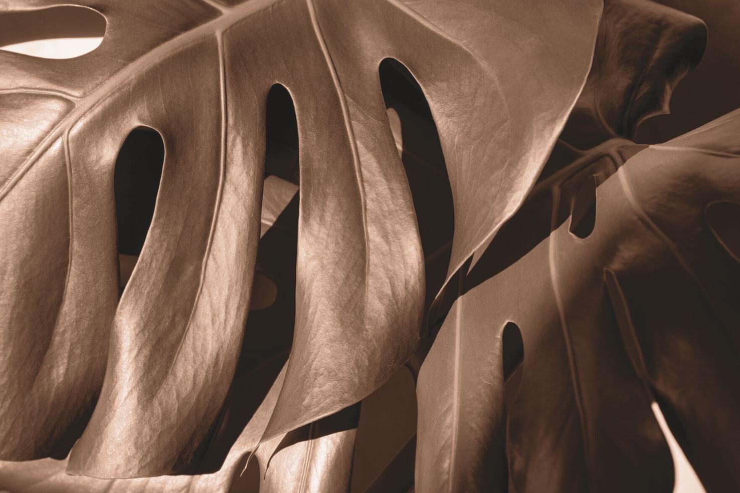 Pantone names Mocha Mousse the 2025 color of the year