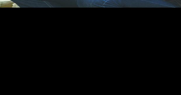 Q&A with Rick Dildine of Shakespeare Festival St. Louis