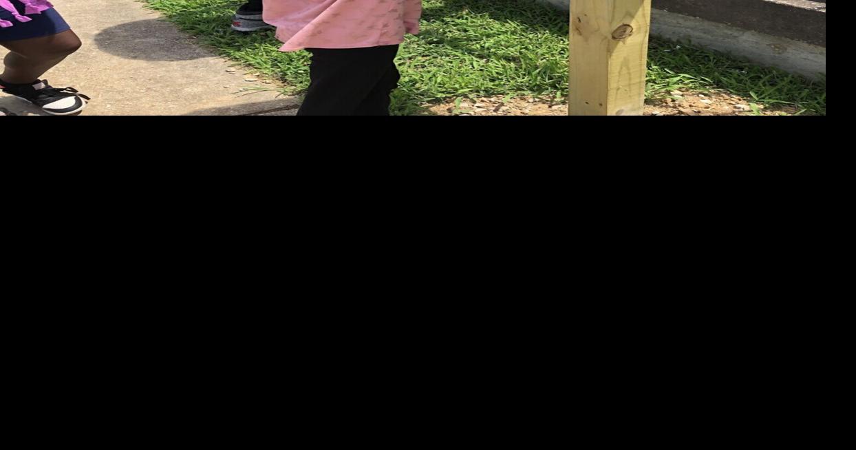 Mailbox libraries popping up in your STL neighborhood