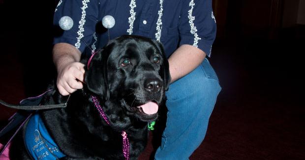 Support Dogs Tacky Ball: Space- The Final Frontier