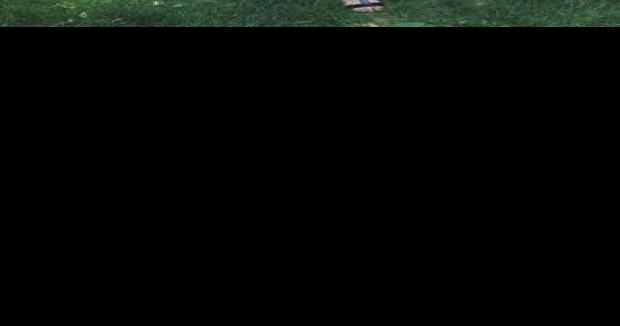 LN Charity Awards: Volunteer:Kristie Skor