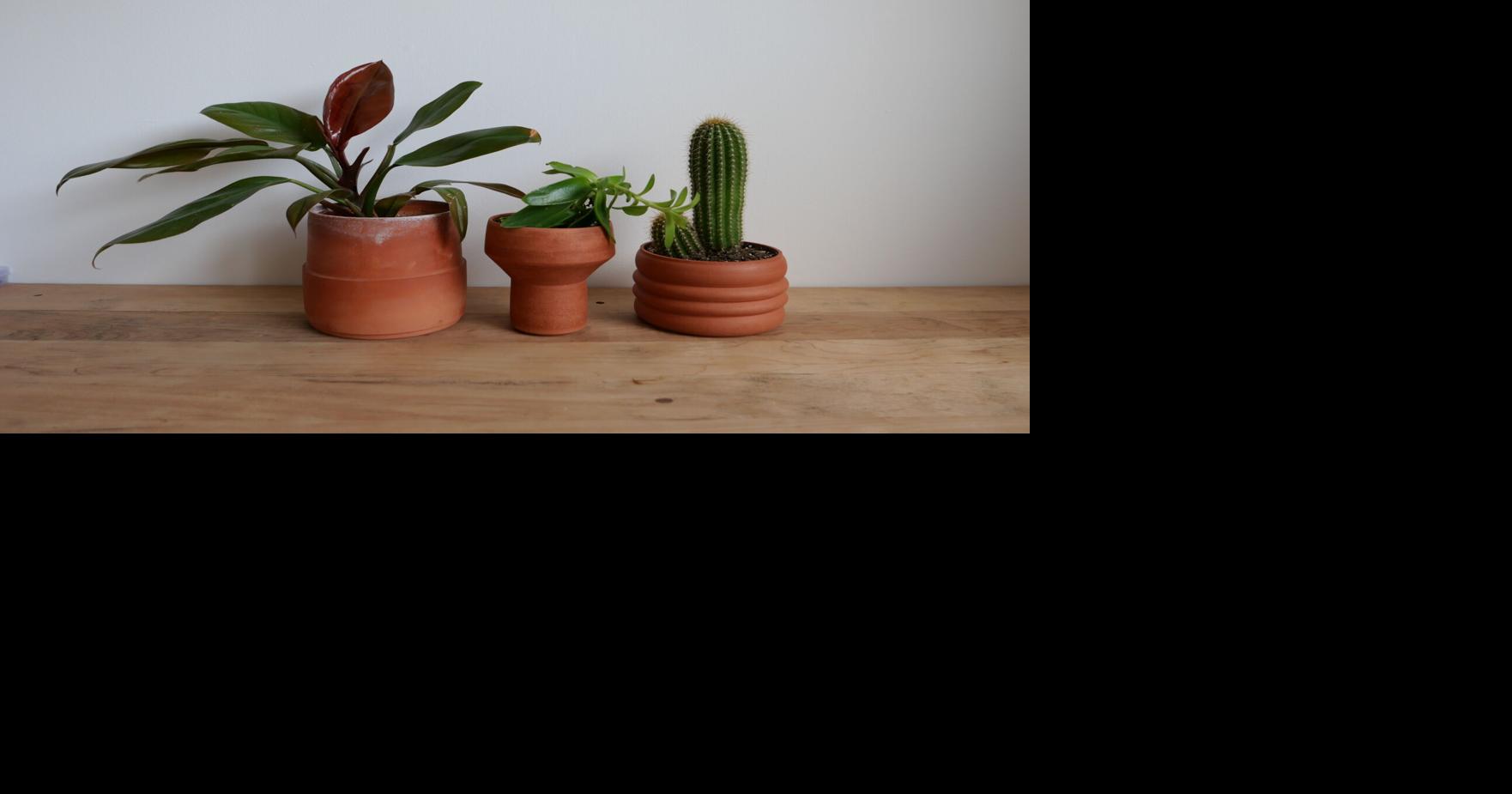 French Artist in St. Louis Describes Her Inspiration for Ceramics Sold ...