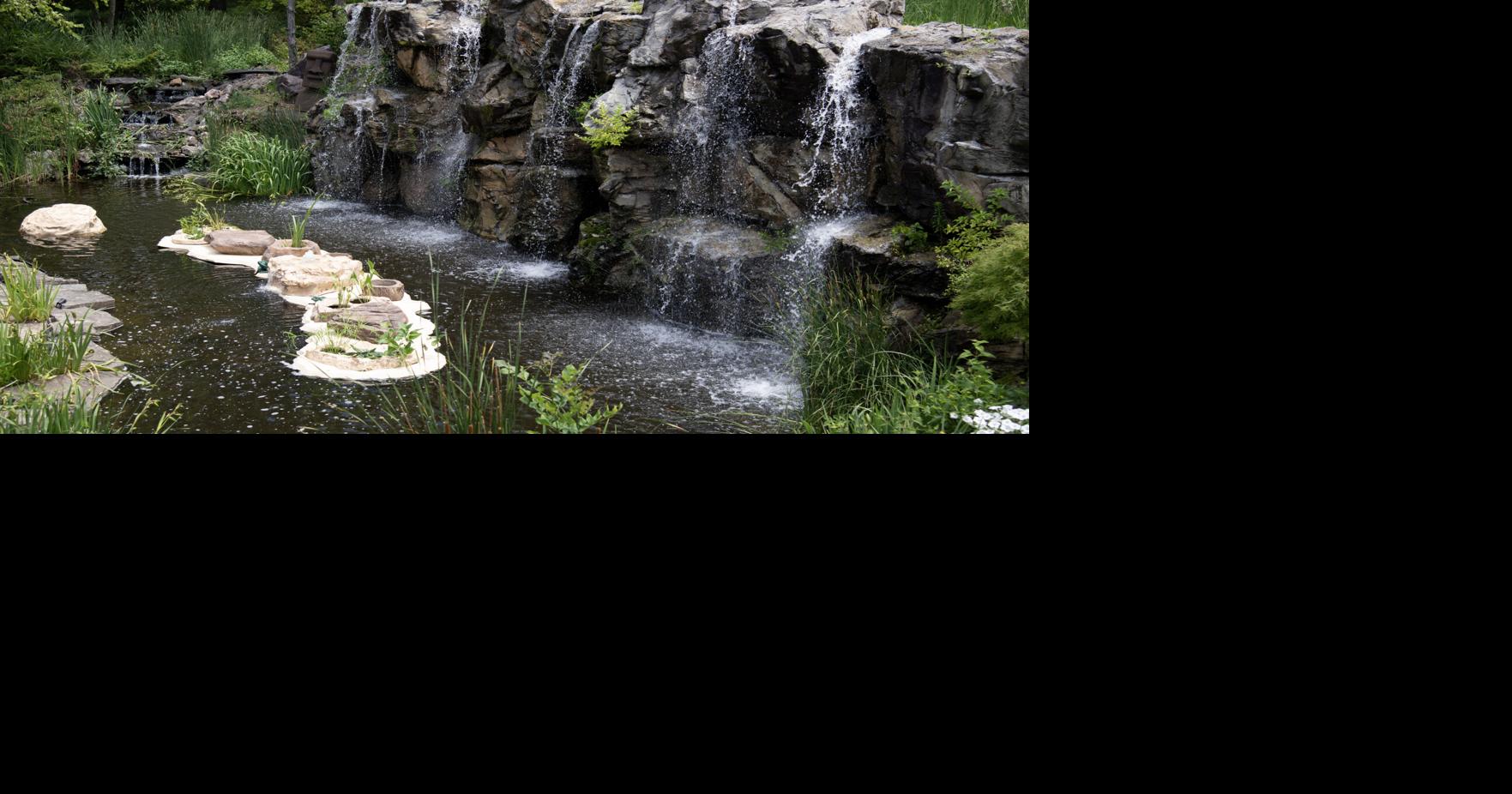 The pond of Rodney Jarboe