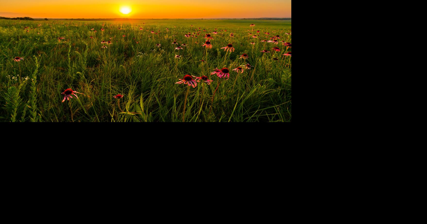 Spring Bend Park in St. Charles County teaches conservation
