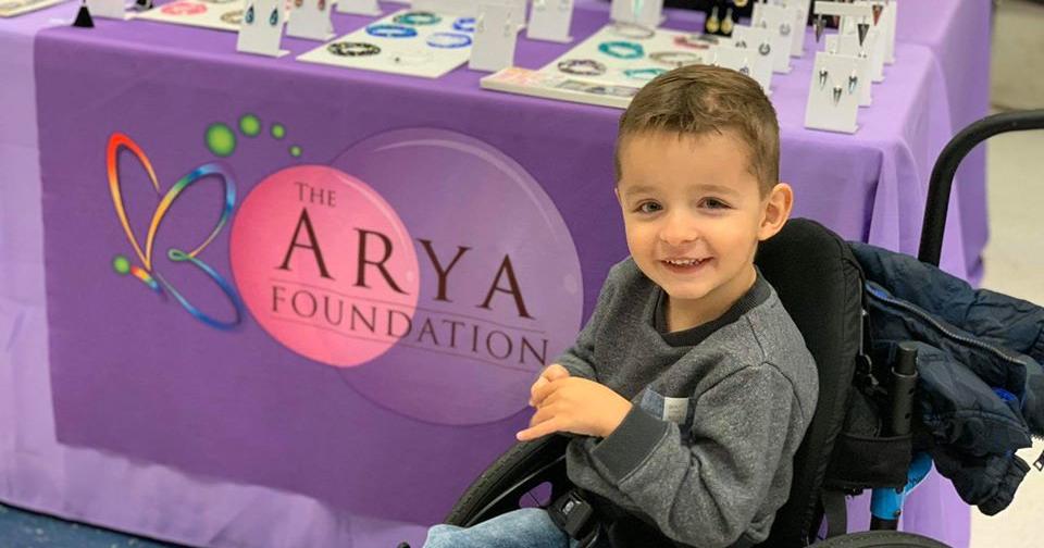 Arya Foundation Prepares for Disability Awareness Convention in ...