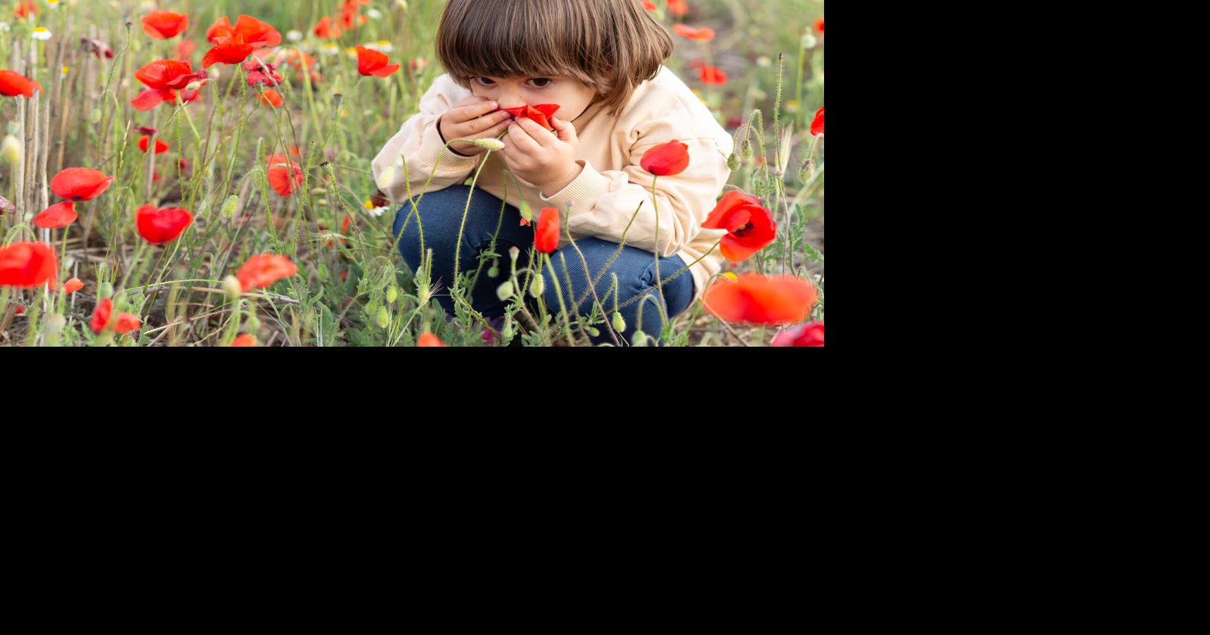 'Hide and Seek' by Polly Noakes sparks summertime wonder