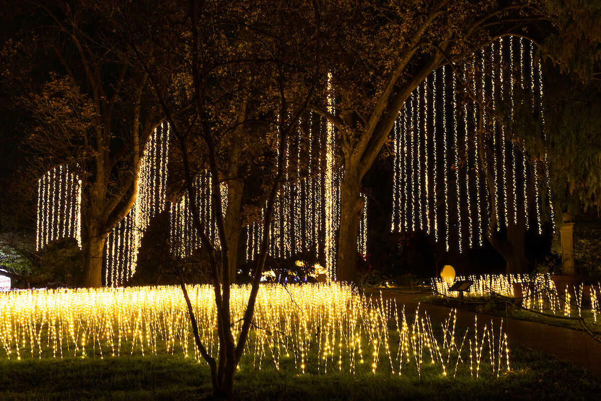 Your guide to MOBOT's Garden Glow in St. Louis