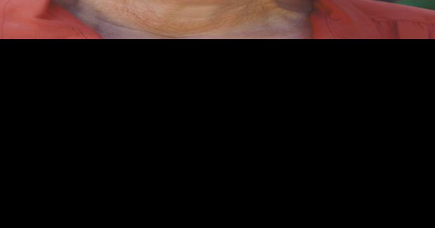 Q&A with Bunny Burson