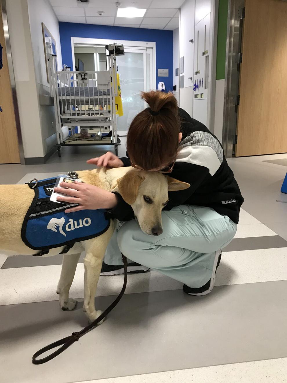 St. Louis-Based Duo Dogs Connects People With Four-Legged Friends ...