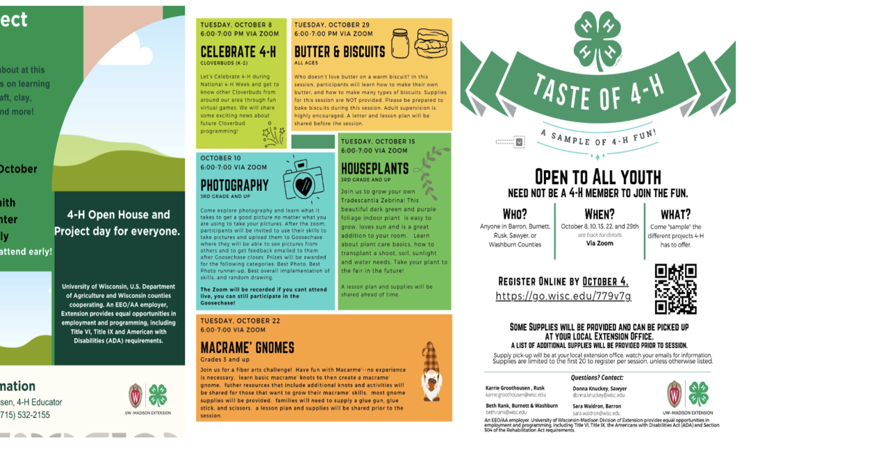 Local events planned during 4-H Week | News | ladysmithnews.com