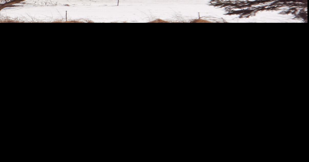 Five fire departments battle flames, wind | News | ladysmithnews.com